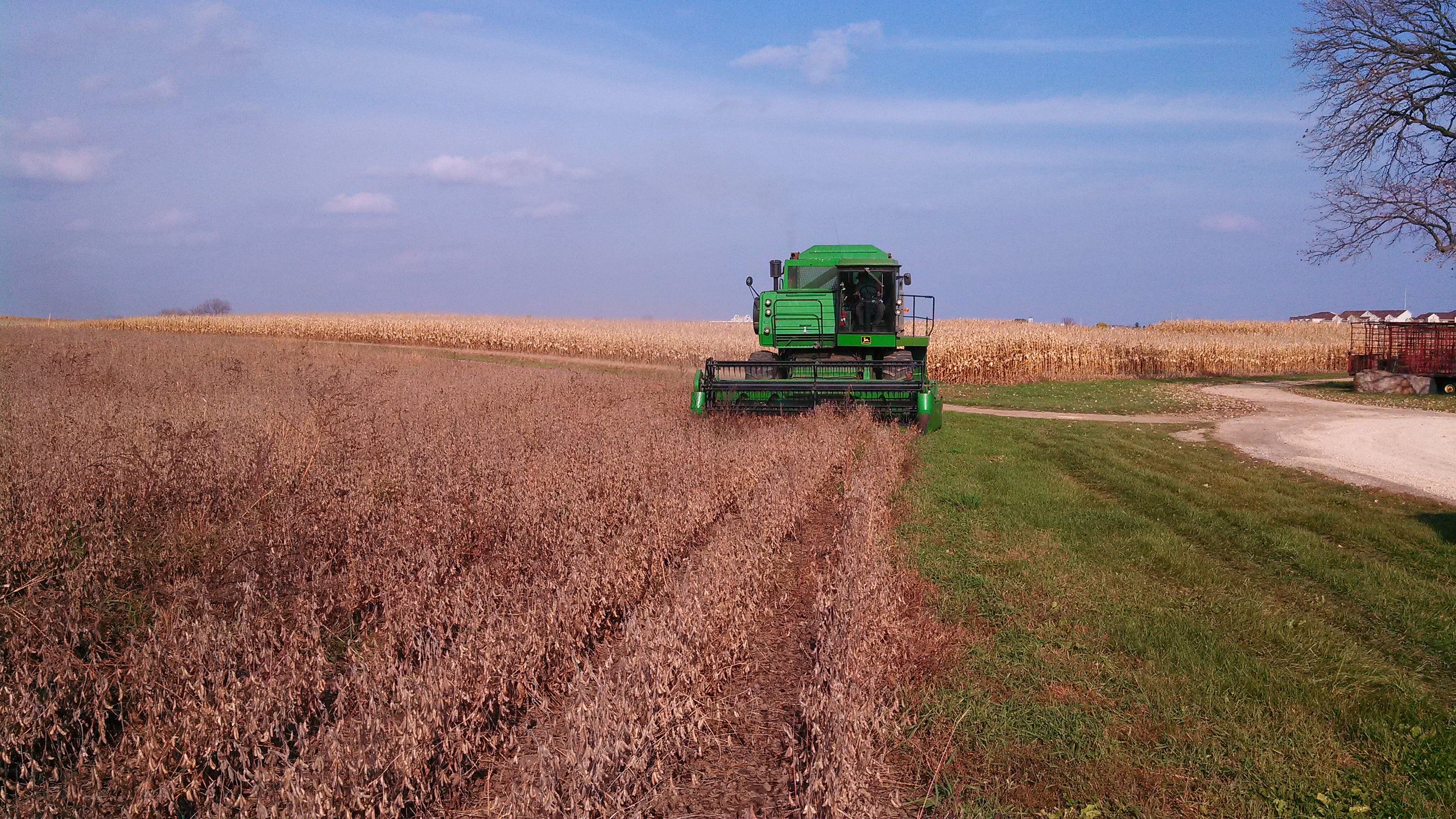 Agronomy Research (Plant and Agroecosystem Sciences Department) – West ...